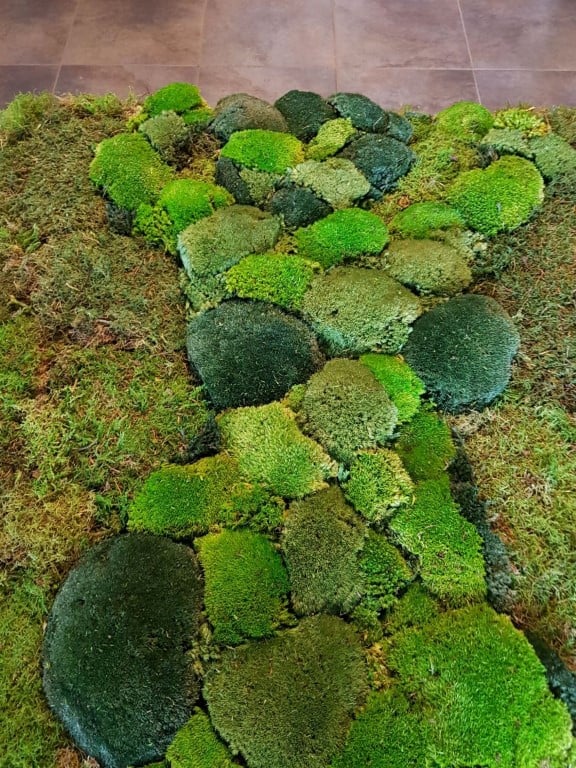 Moswand - De Groene Wand