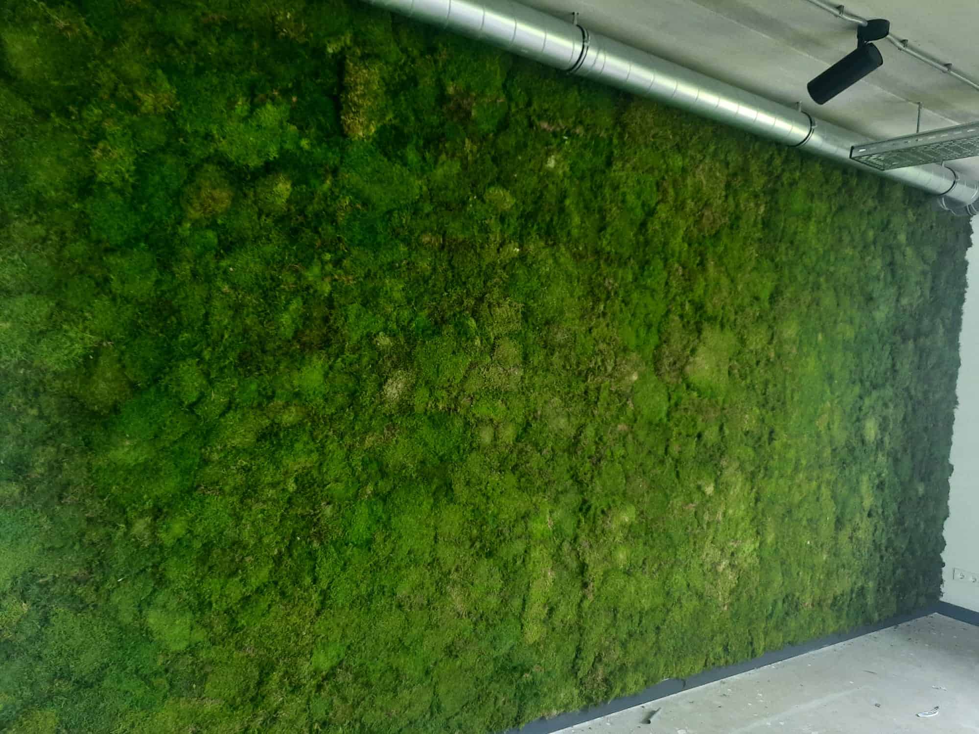 Moswand - De Groene Wand
